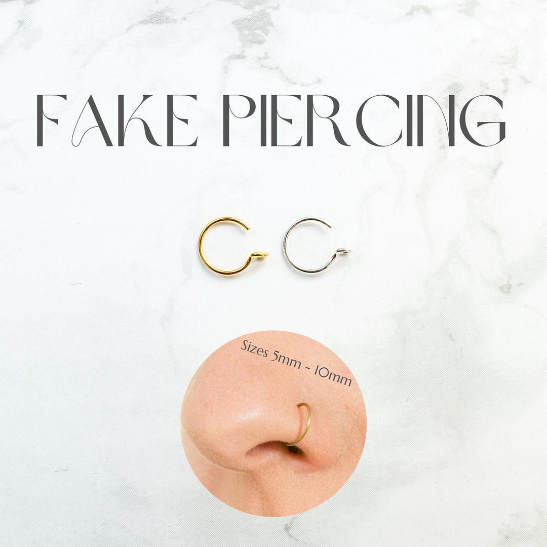 Fake Nose Ring, Clip on Nose Ring, Faux Nose Ring Hoop, Gold, Silver ...