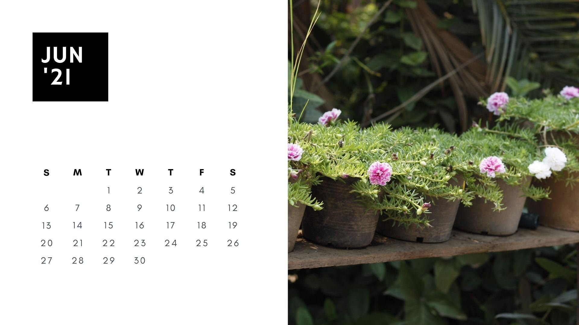 Digital Summer Vibes Calendar 2021 - Etsy