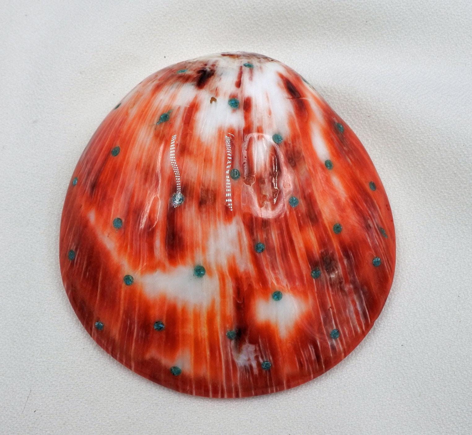 Loose Stones Spiny Oyster Shell Pendant Beads Jewelry Making Choose One ...