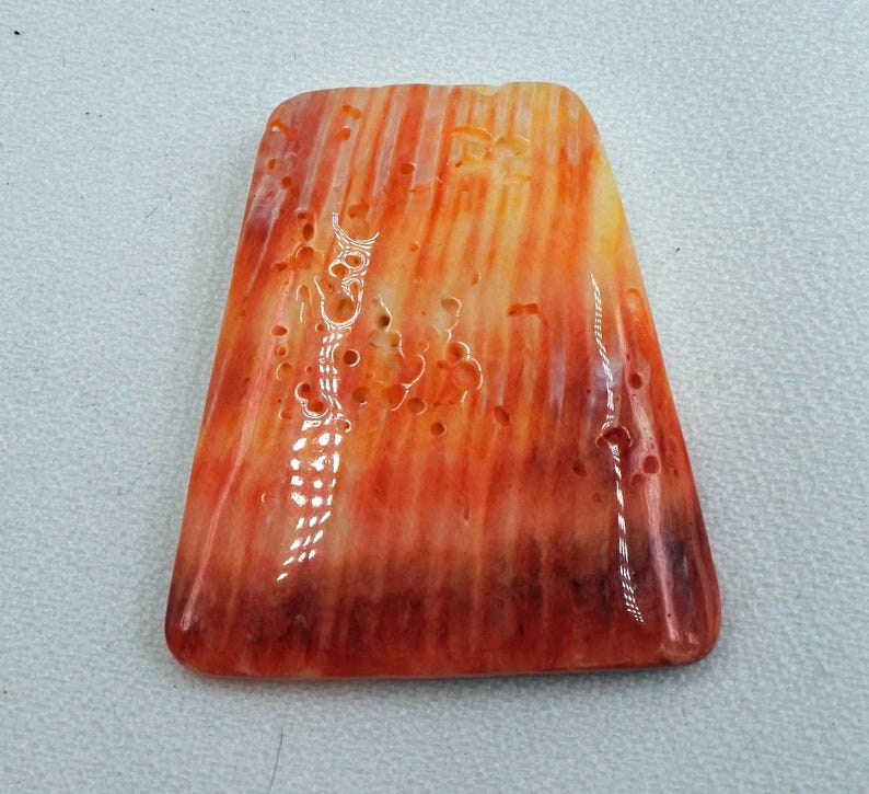 Loose Stones Spiny Oyster Shell Pendant Beads Jewelry Making Choose One ...