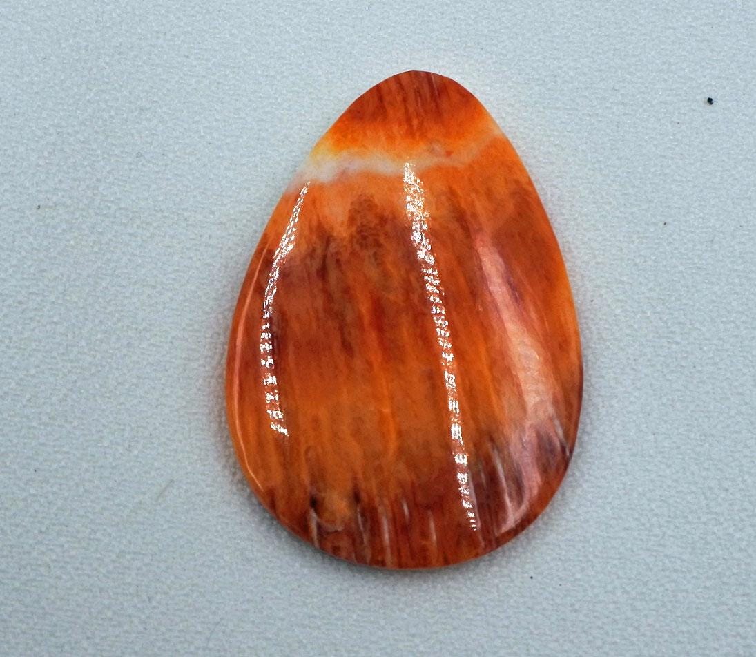 Loose Stones Spiny Oyster Shell Pendant Beads Jewelry Making Choose One ...