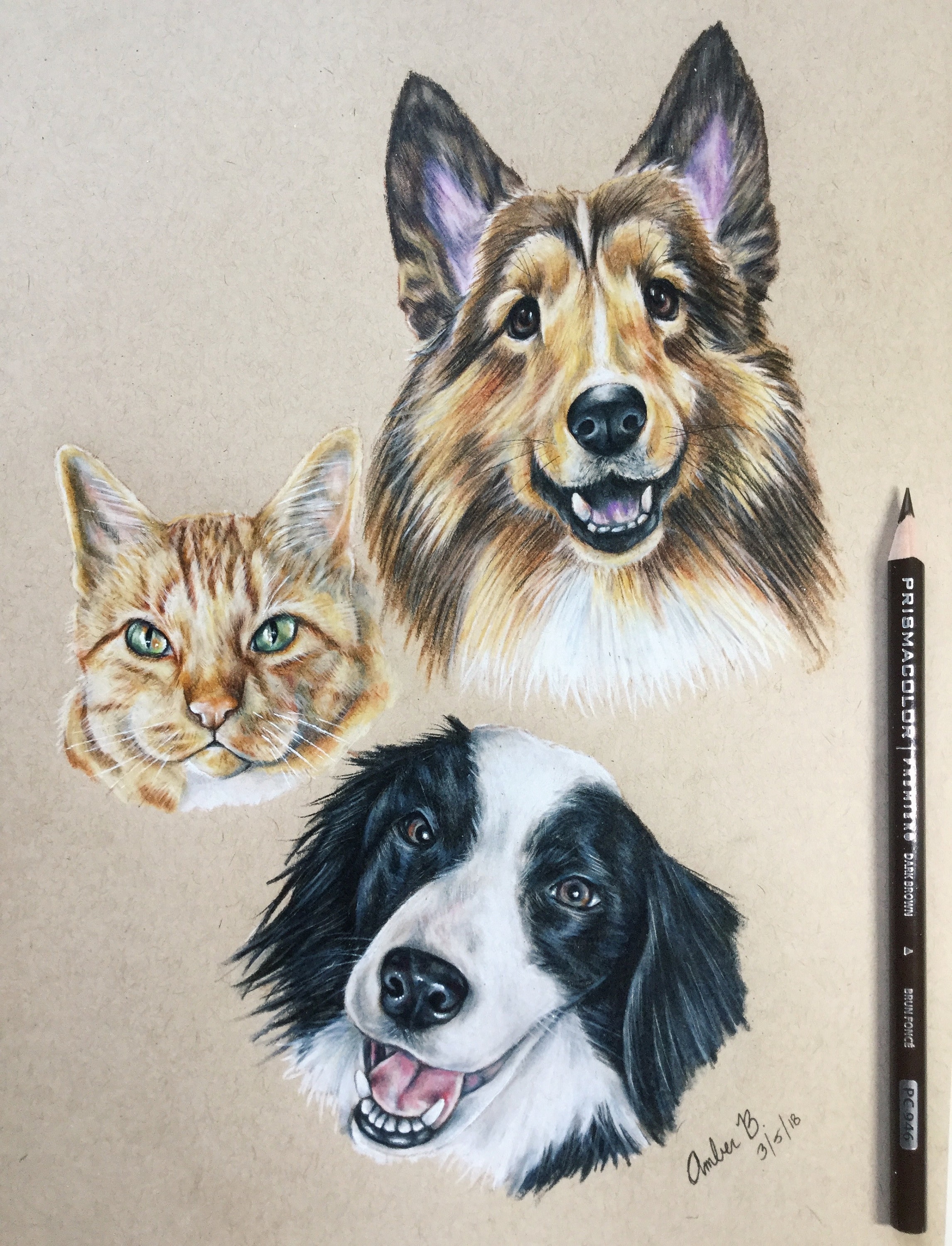 Custom Pet Portrait (5x8in.) - Hand Drawn - Etsy