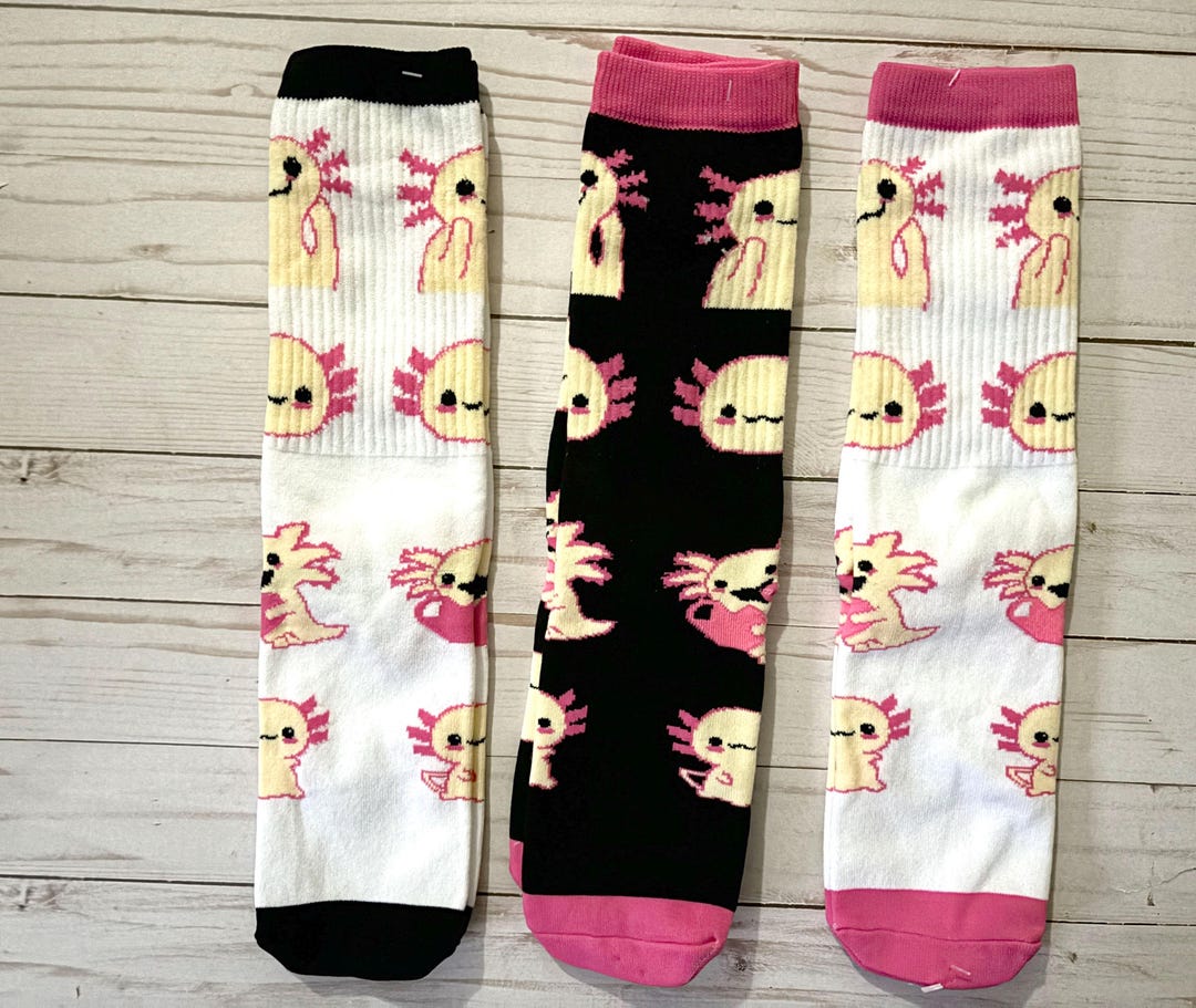 Axolotl Mexico Socks Calcetas - Etsy