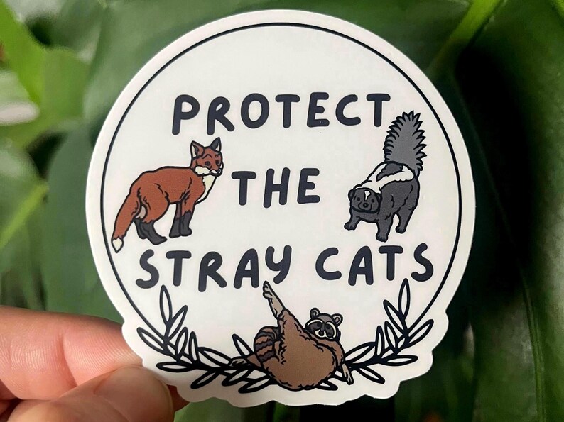 Protect Stray Cats Vinyl Sticker: Funny Raccoon, Fox, Skunk - Etsy
