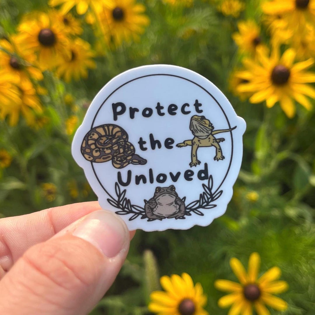 Protect the Unloved Reptile/amphibian Ball Python, Bearded Dragon and ...