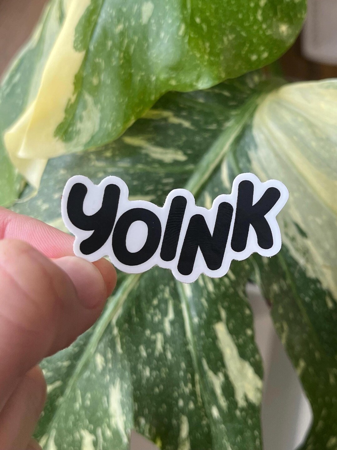 YOINK Vinyl Sticker, Herpetology, Herping, Reptile Lover Gift for ...