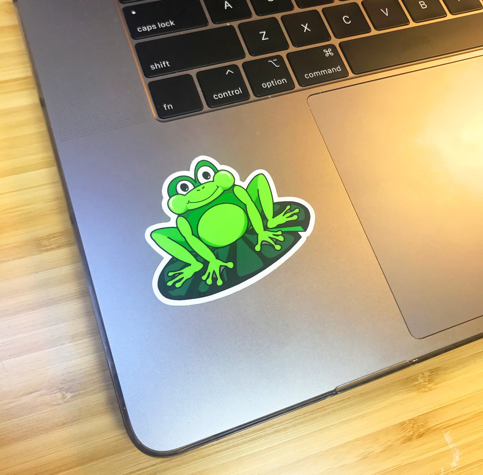 Frog on a Lily Pad Sticker - Etsy