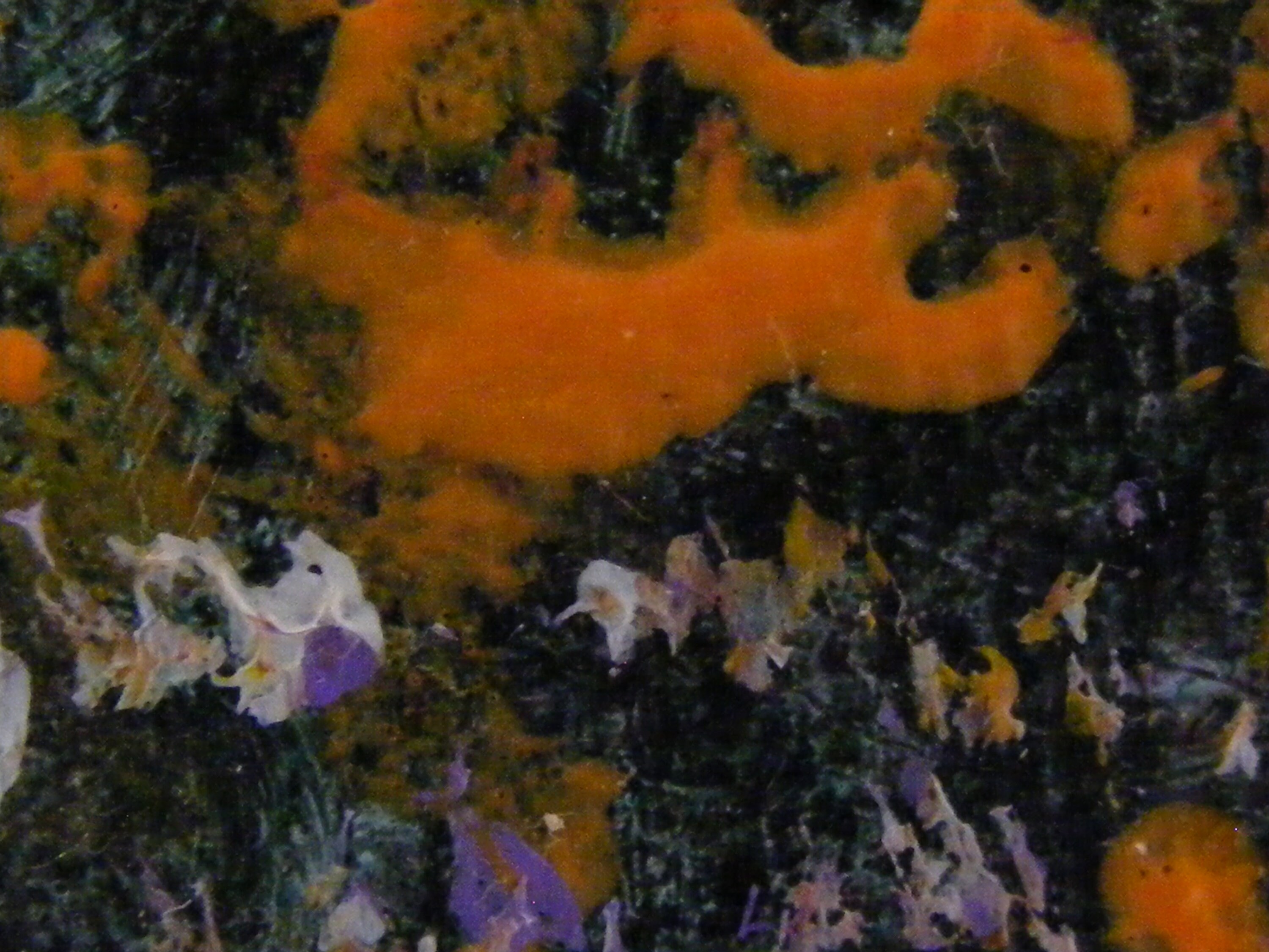 1997 Original Signed Anna Sandu Ray Framed Acrylic Painting #2 - Etsy