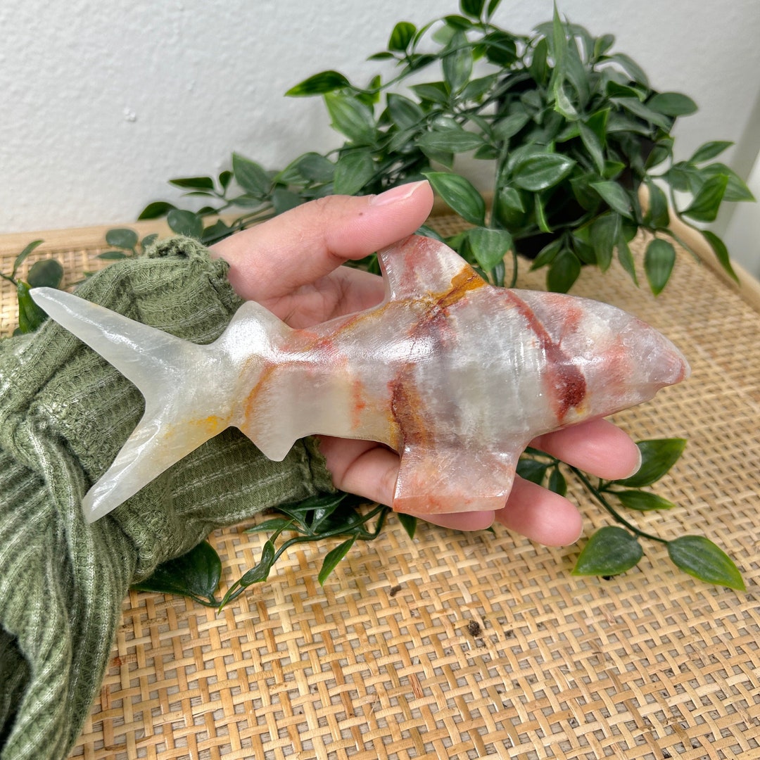 Gorgeous Onyx Shark Stone Carving From Mexico B - Etsy