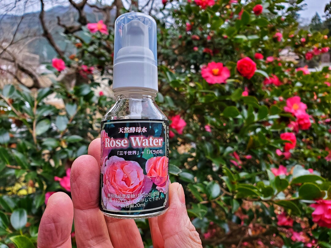 Rose Flower and Japanese 13 Kinds of Medicinal Herbal - Etsy