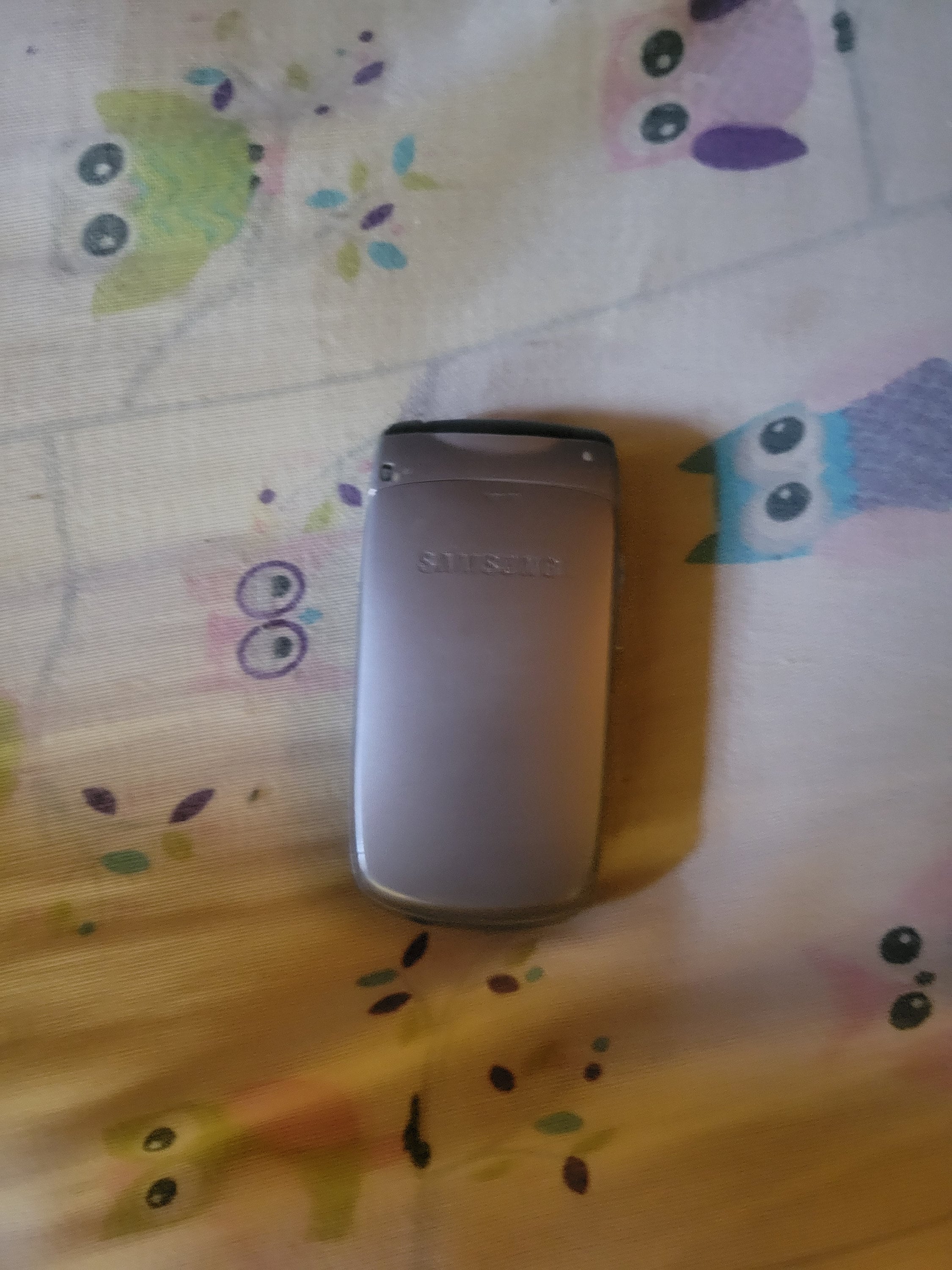 Old Samsung Sgh Flip Phone