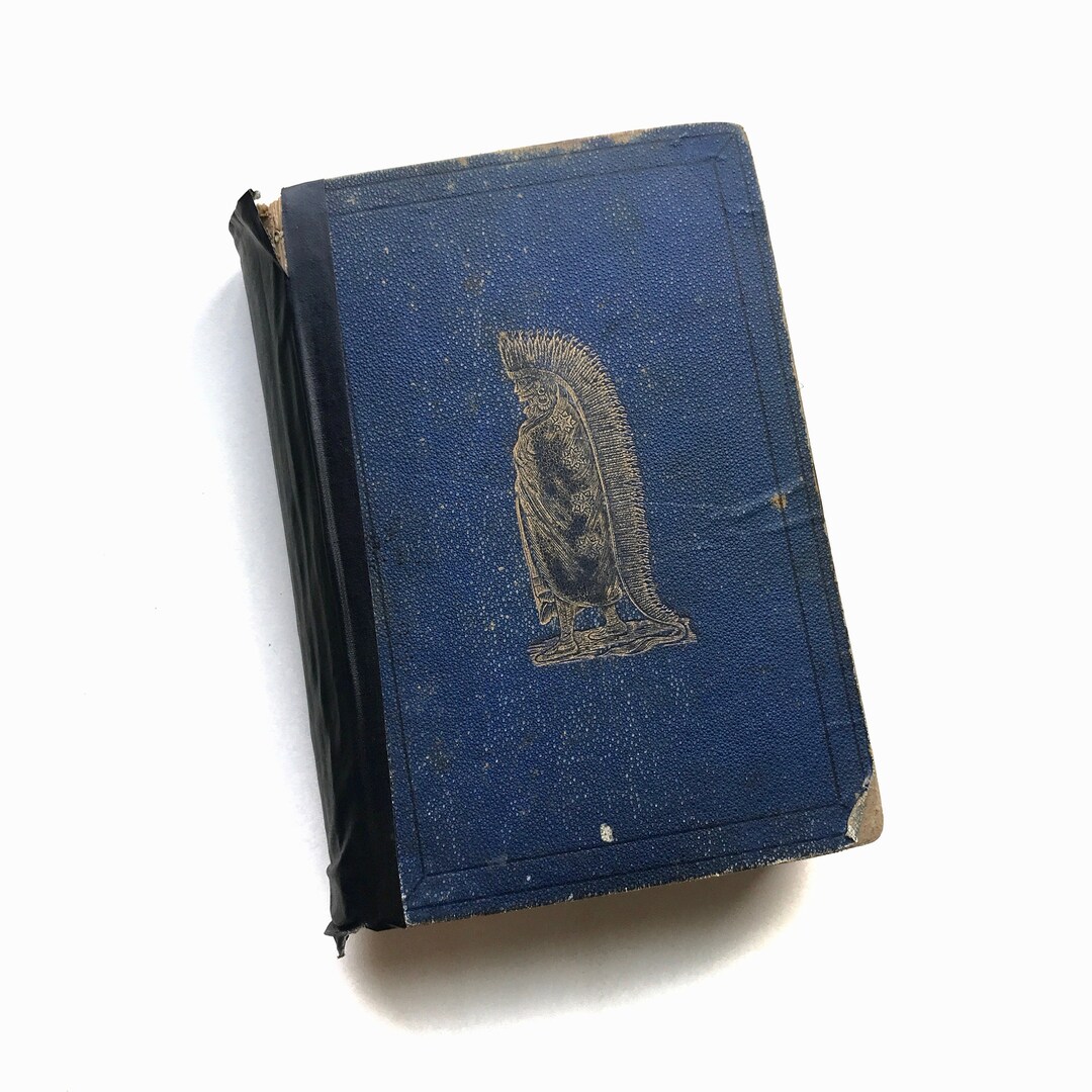 Belden, the White Chief: 1870 First Edition Hardcover Book - Etsy