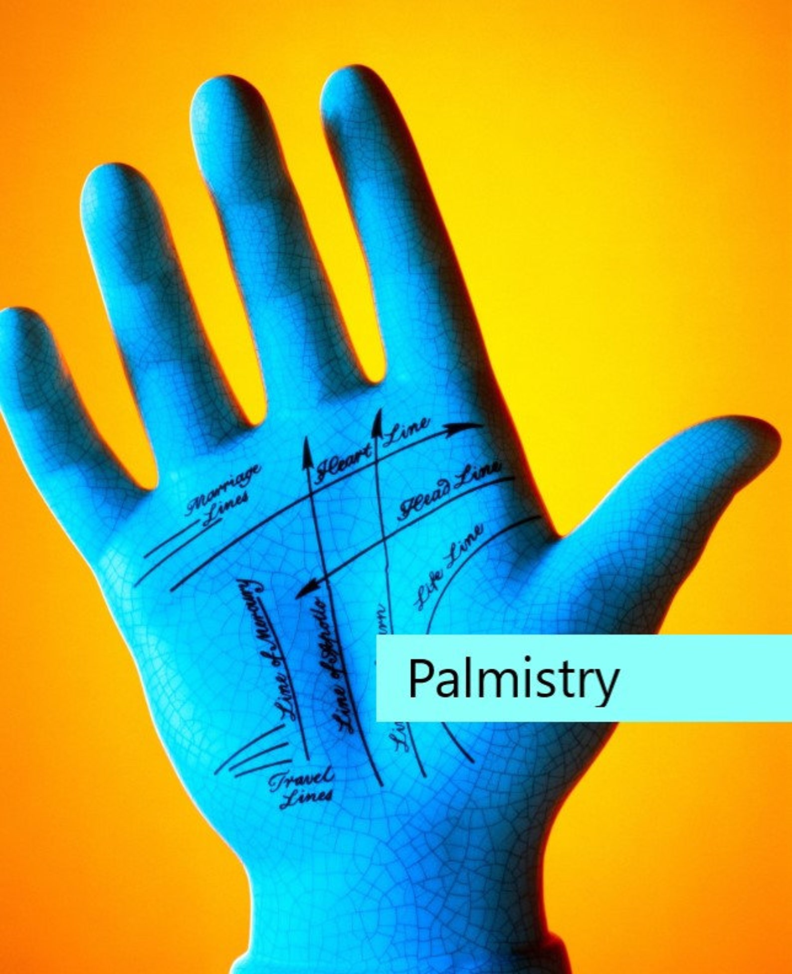 Love Palm Reading. Love Palmistry Reading. Number One Hand Reading ...