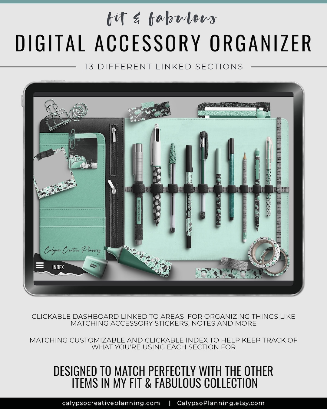 Fit and Fabulous Digital Accessory Organizer / 13 Section Organizer ...
