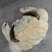 Original 1981 Ice Planet Hoth Wampa Vintage Star Wars Toys - Etsy