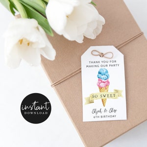 Printable Ice Cream Theme Boy & Girl Birthday Party Favor Tag | Instant ...