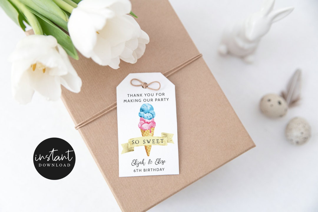 Printable Ice Cream Theme Boy & Girl Birthday Party Favor Tag | Instant ...
