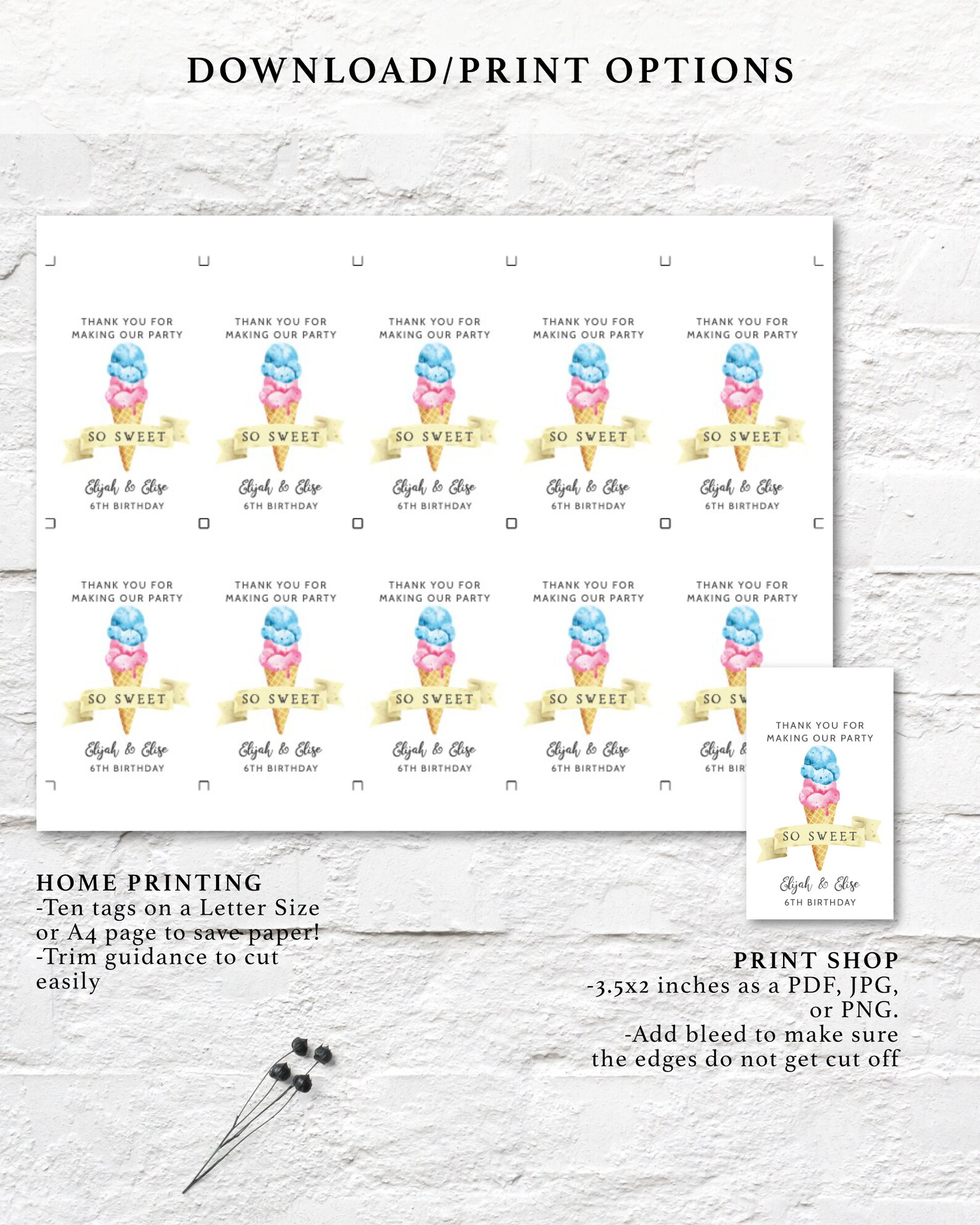 Printable Ice Cream Theme Boy & Girl Birthday Party Favor Tag | Etsy