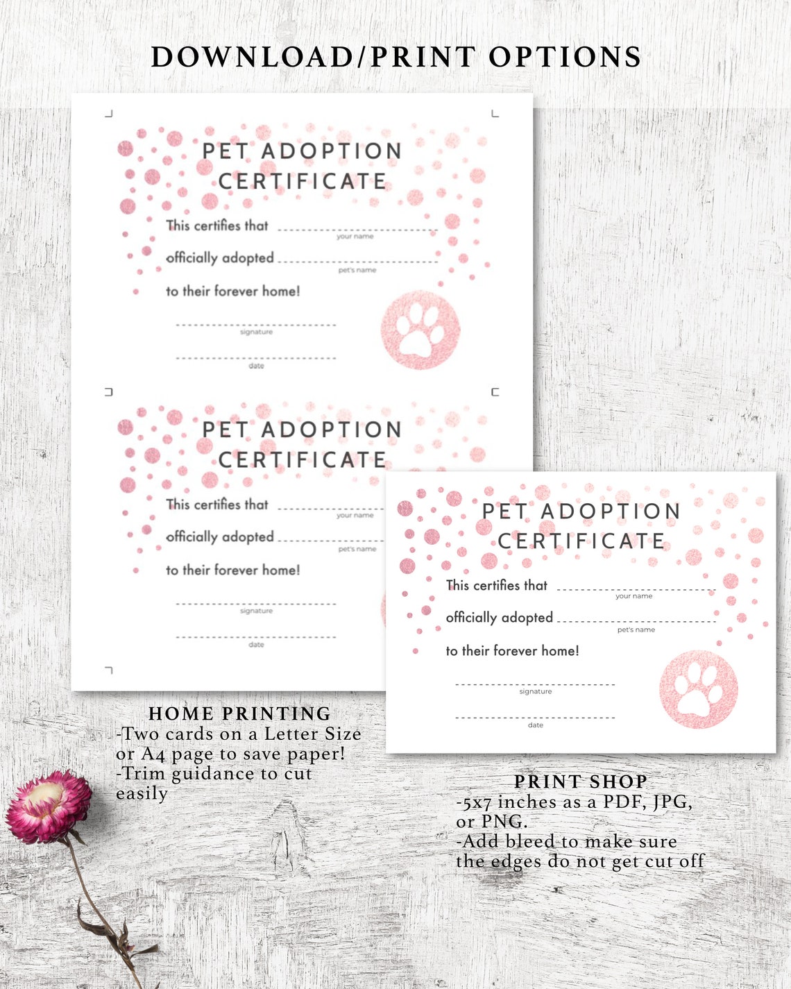 KItty Cat Theme Birthday Party Adoption Center Sign & | Etsy