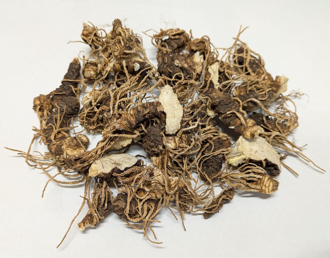 Trillium Root, Beth Root, Low John Root - Etsy