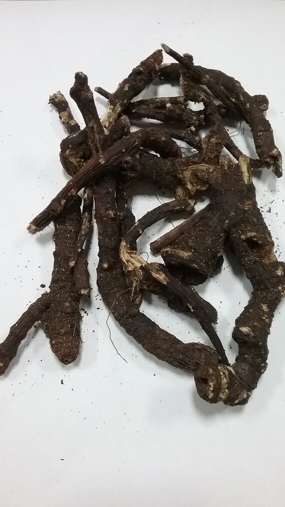 Osha Root Whole Wildcrafted 4 oz | Etsy