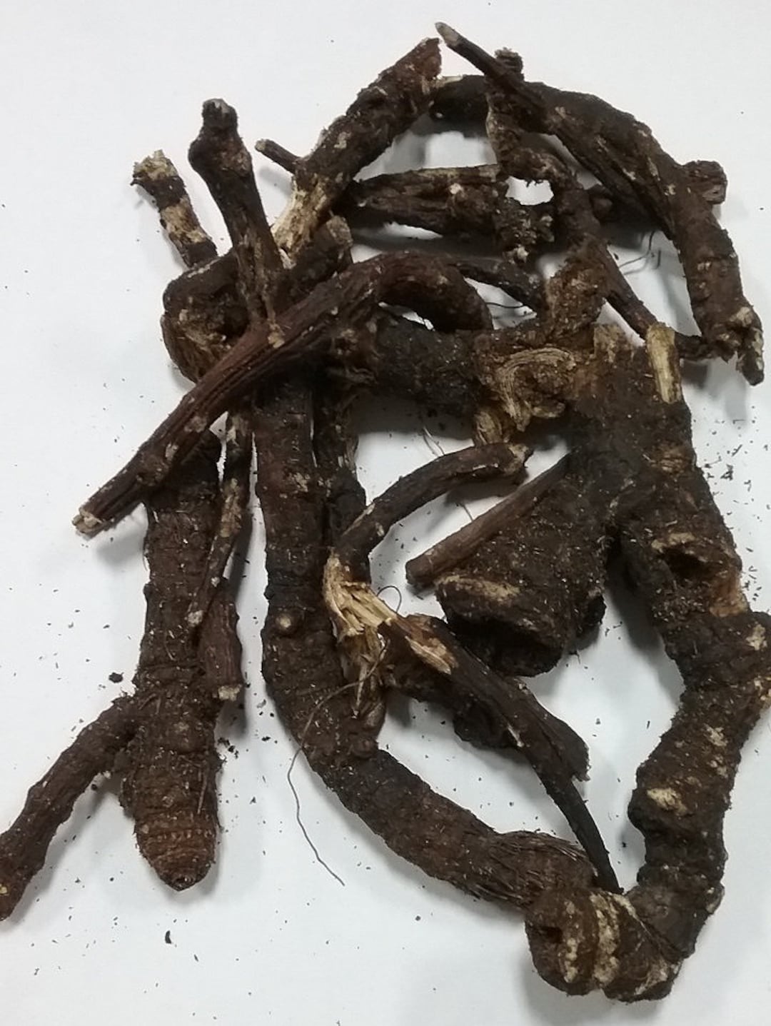 Osha Root - Whole - Wildcrafted - 2 Oz - Etsy
