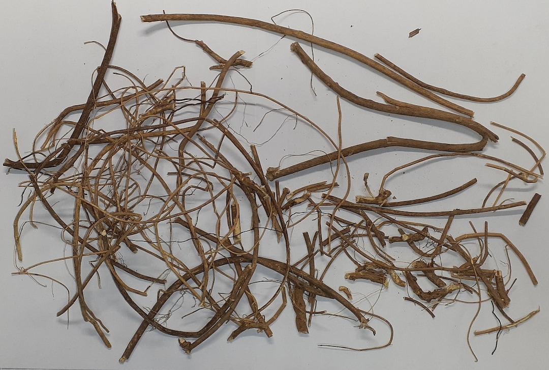 Devil's Shoestring Root - 8 Oz. - Etsy