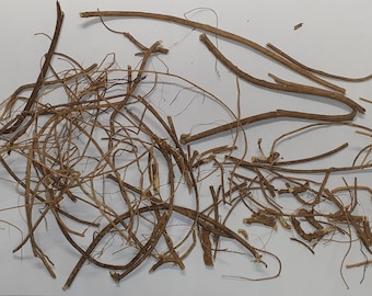 Devils Shoestring,is Used for Protection, to trip up the Devil Making ...