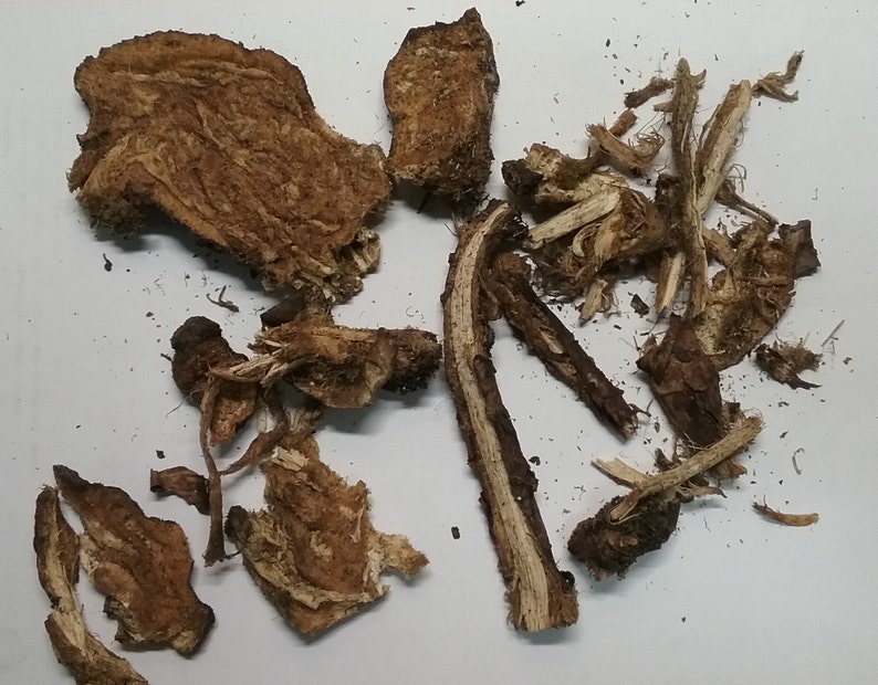 Lomatium Root 4 oz. | Etsy