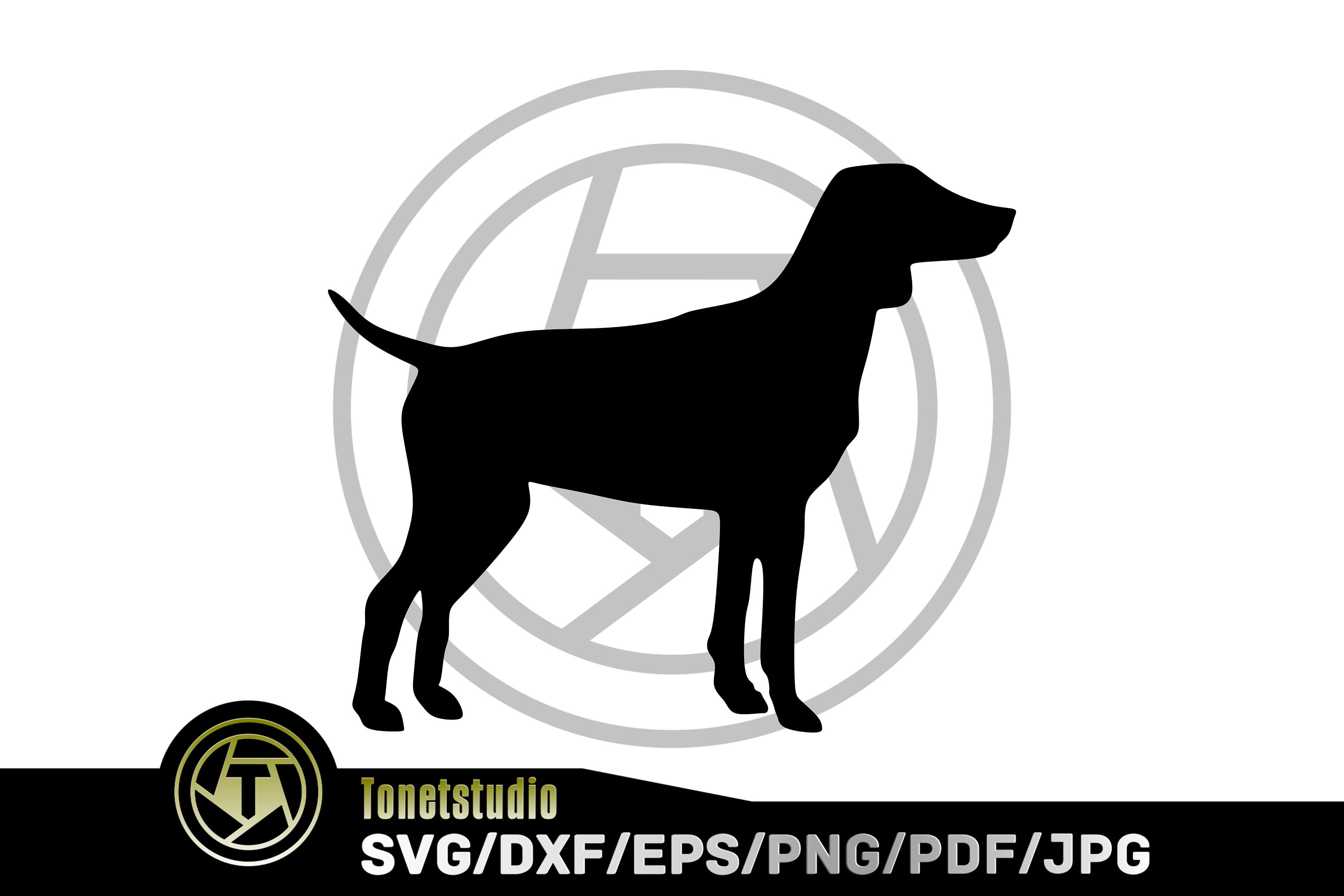 Perros Svg, Mascota Svg, Paw Print Svg, Silueta de perro, Puppy svg ...