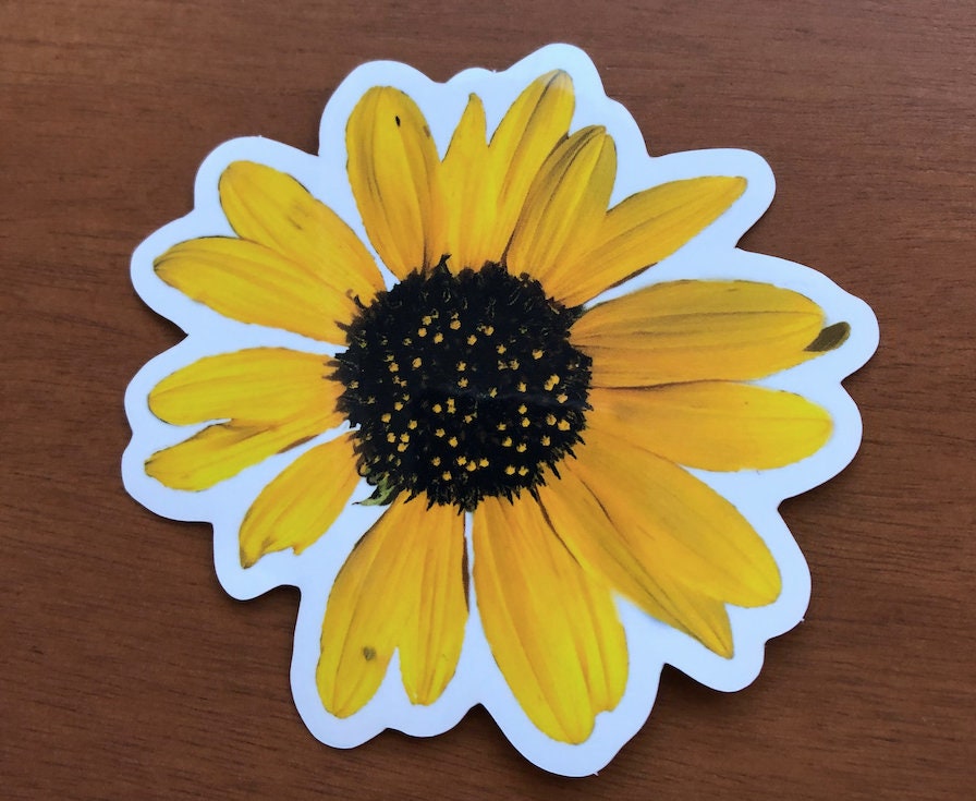 Oregon Black Eyed Susan Sticker - Etsy