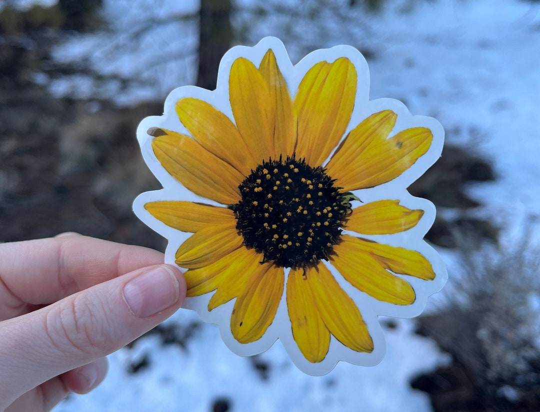 Oregon Black Eyed Susan Sticker - Etsy