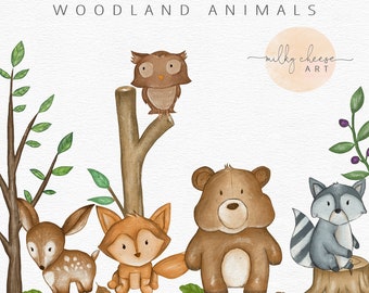Watercolor Clipart, Woodland Animals Clipart, Forest Animal Clipart ...