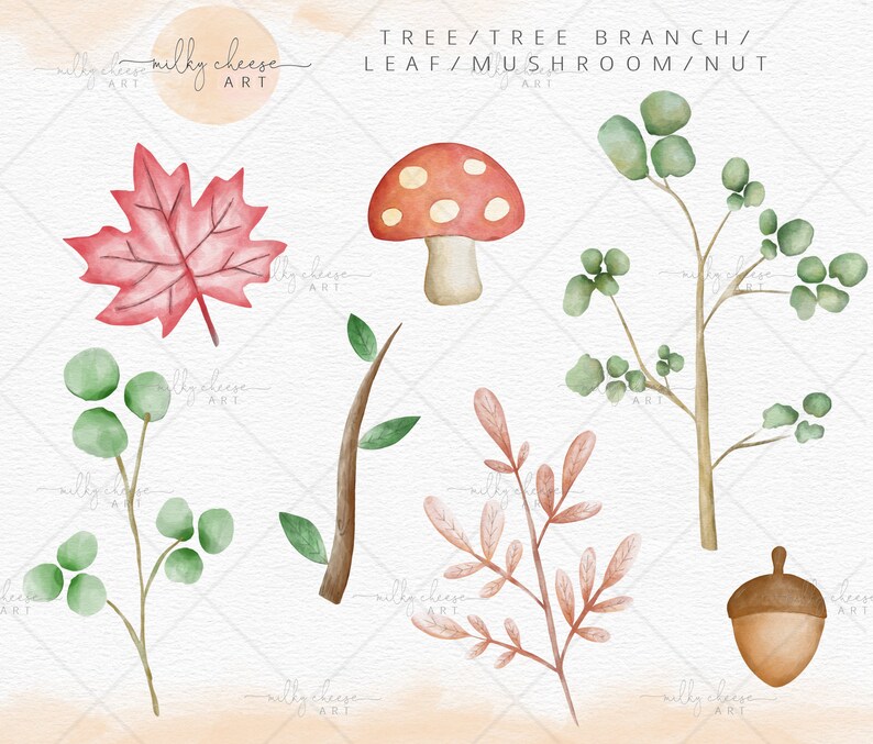 Watercolor Clipart Woodland Animals Clipart Forest Animal | Etsy