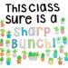 Cactus Decoration Set "this Class Sure is a Sharp Bunch!" | Back to ...