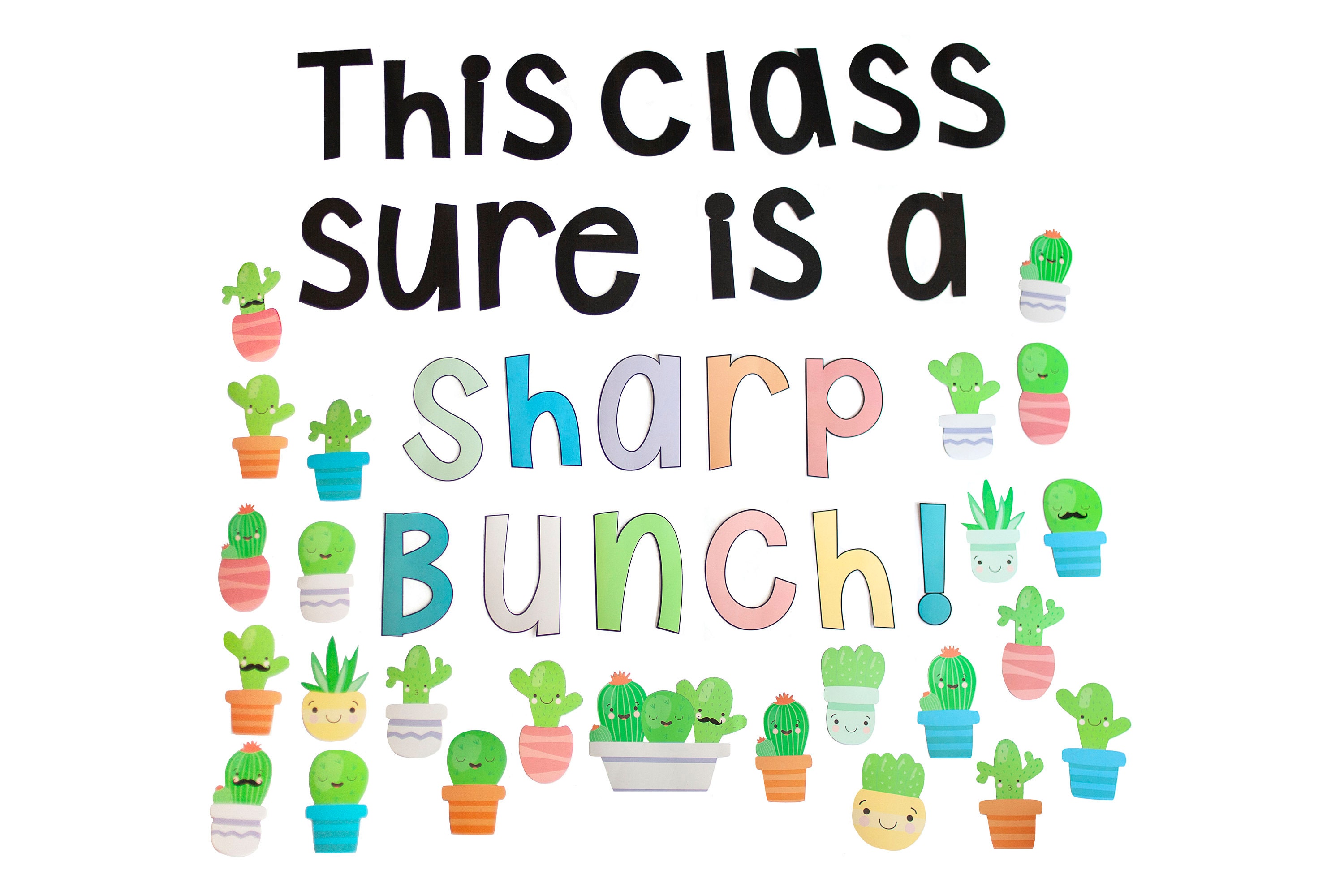 Cactus Decoration Set "this Class Sure is a Sharp Bunch!" | Back to ...