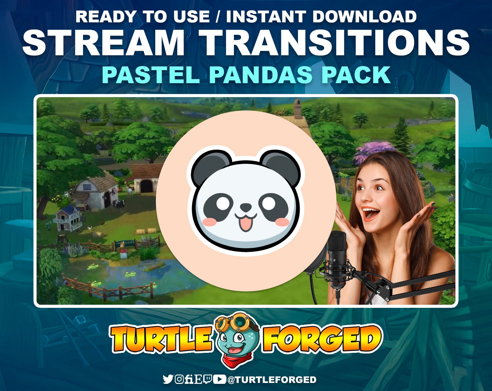 Pastel Panda Stream Scene Transitions Pack includes 5 Color Options ...