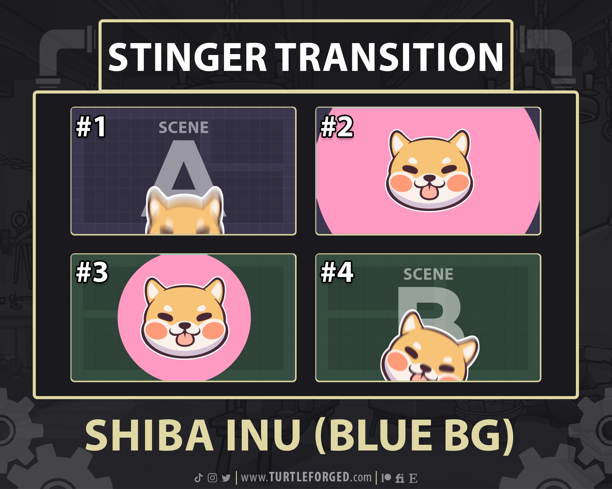 Shiba Inu Stinger Transition (pink) | Shiba Inu Dog Puppy | Cute Chonky ...