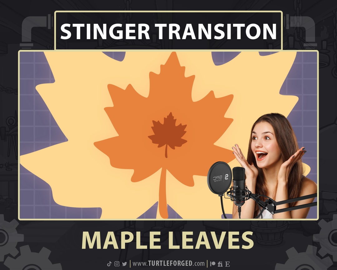 Maple Leaves Stream Stinger Transition: Animated Autumn Foliage (digital Download) - Etsy Canada
