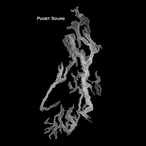 Puget Sound Map | Bathymetric Depth Chart, Seattle Gifts - Etsy