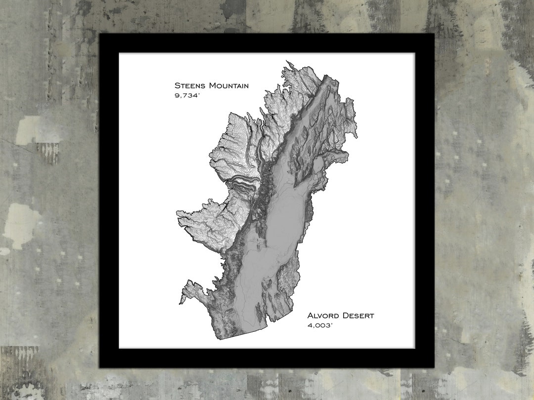 Steens Mountain Alvord Desert Map Art Print Oregon State Topographic ...