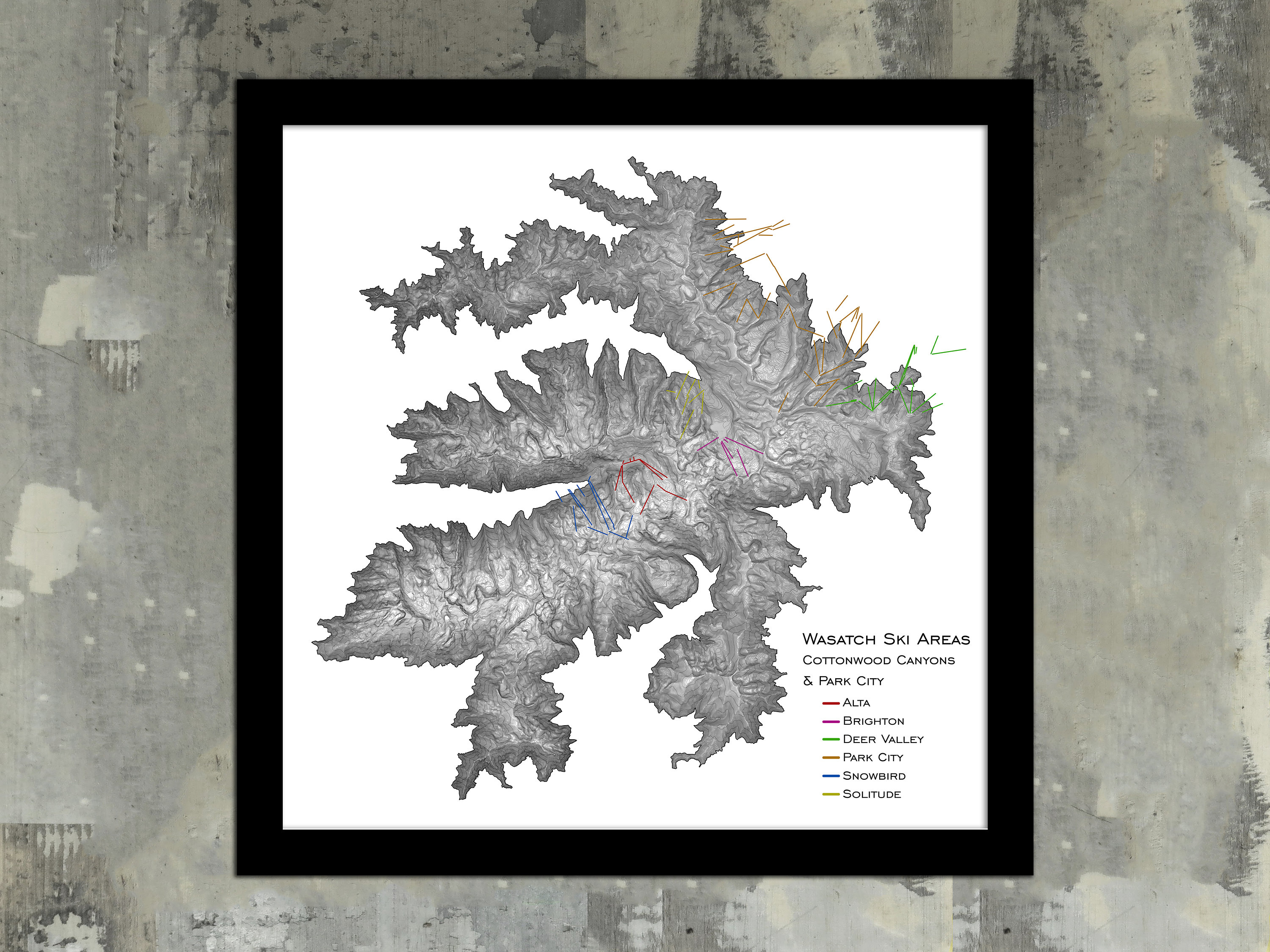 Topographical Map Wasatch Mountains