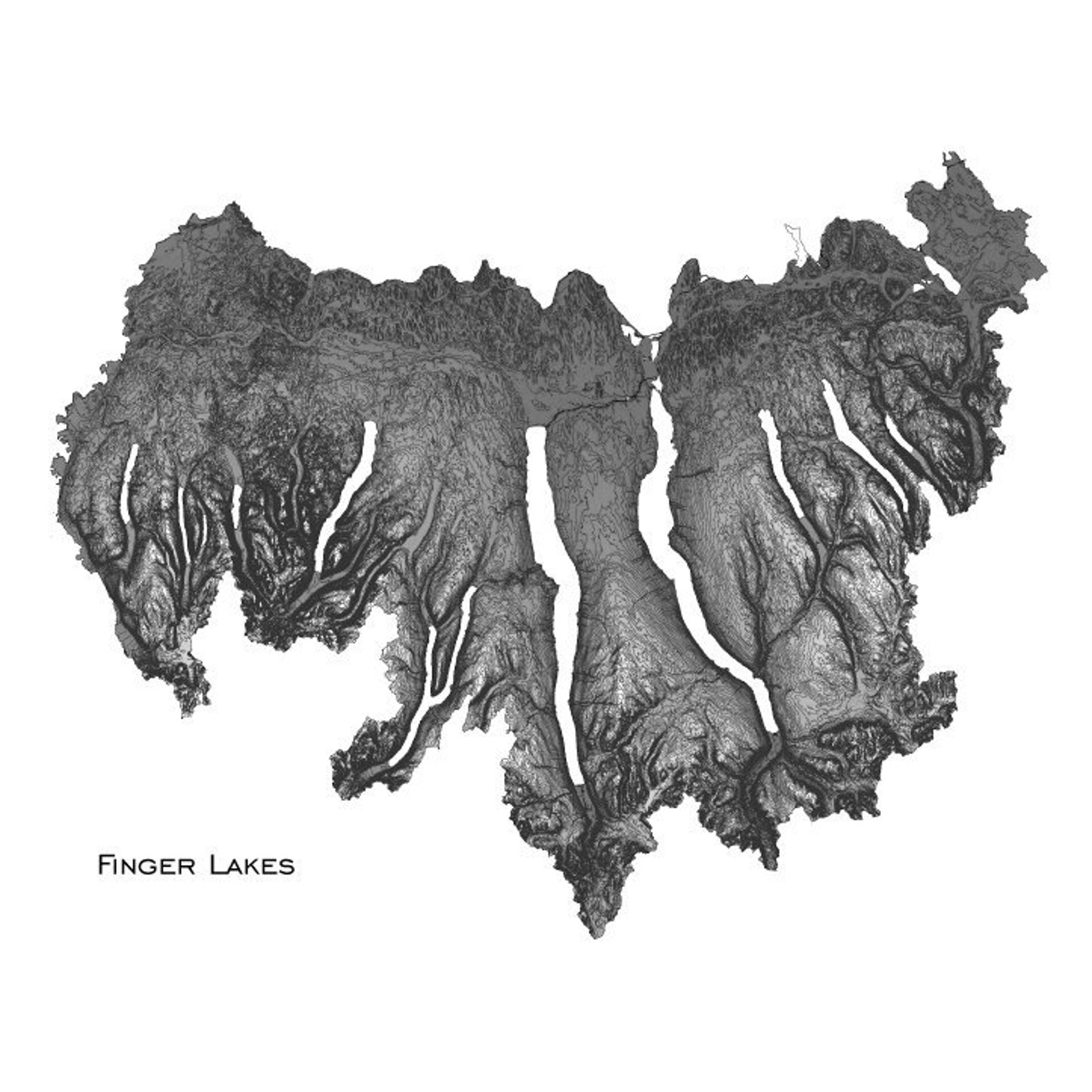 Finger Lakes Map Wall Art New York Topographic Wall Decor | Etsy