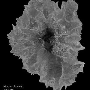 Mt Adams Topographic Map Artwork | Mount Adams Art Print, Washington ...