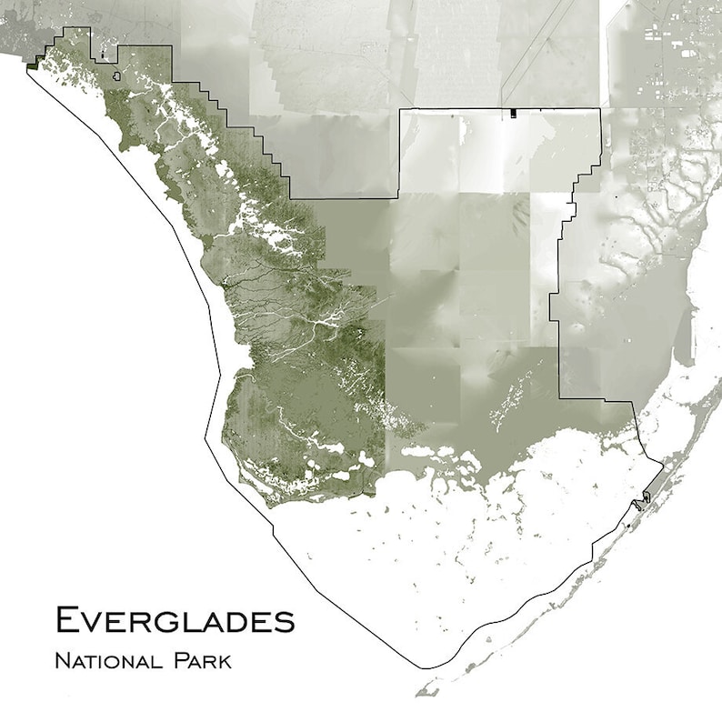 Everglades Topographic Map Art Poster Everglades National | Etsy