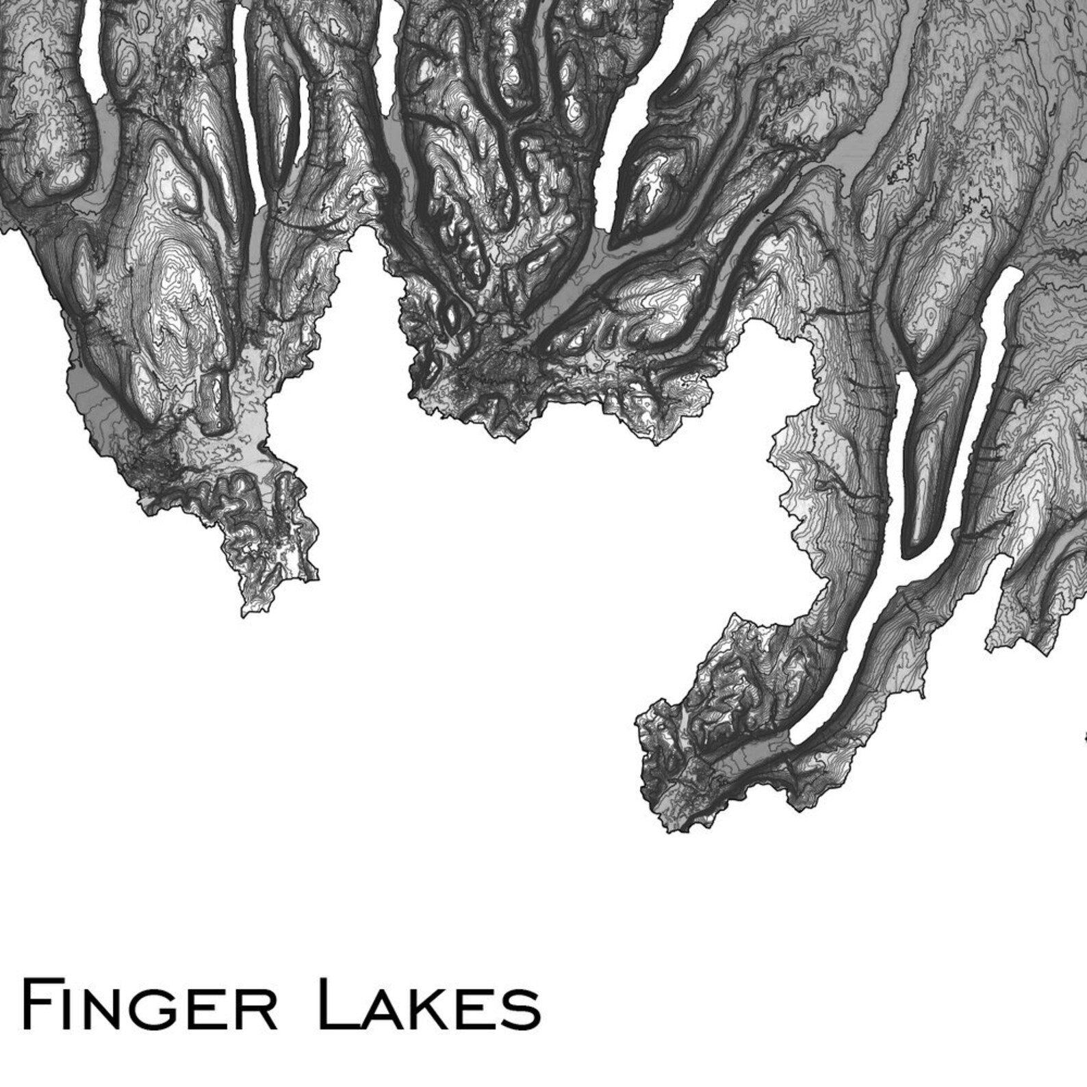 Finger Lakes Map Wall Art New York Topographic Wall Decor | Etsy