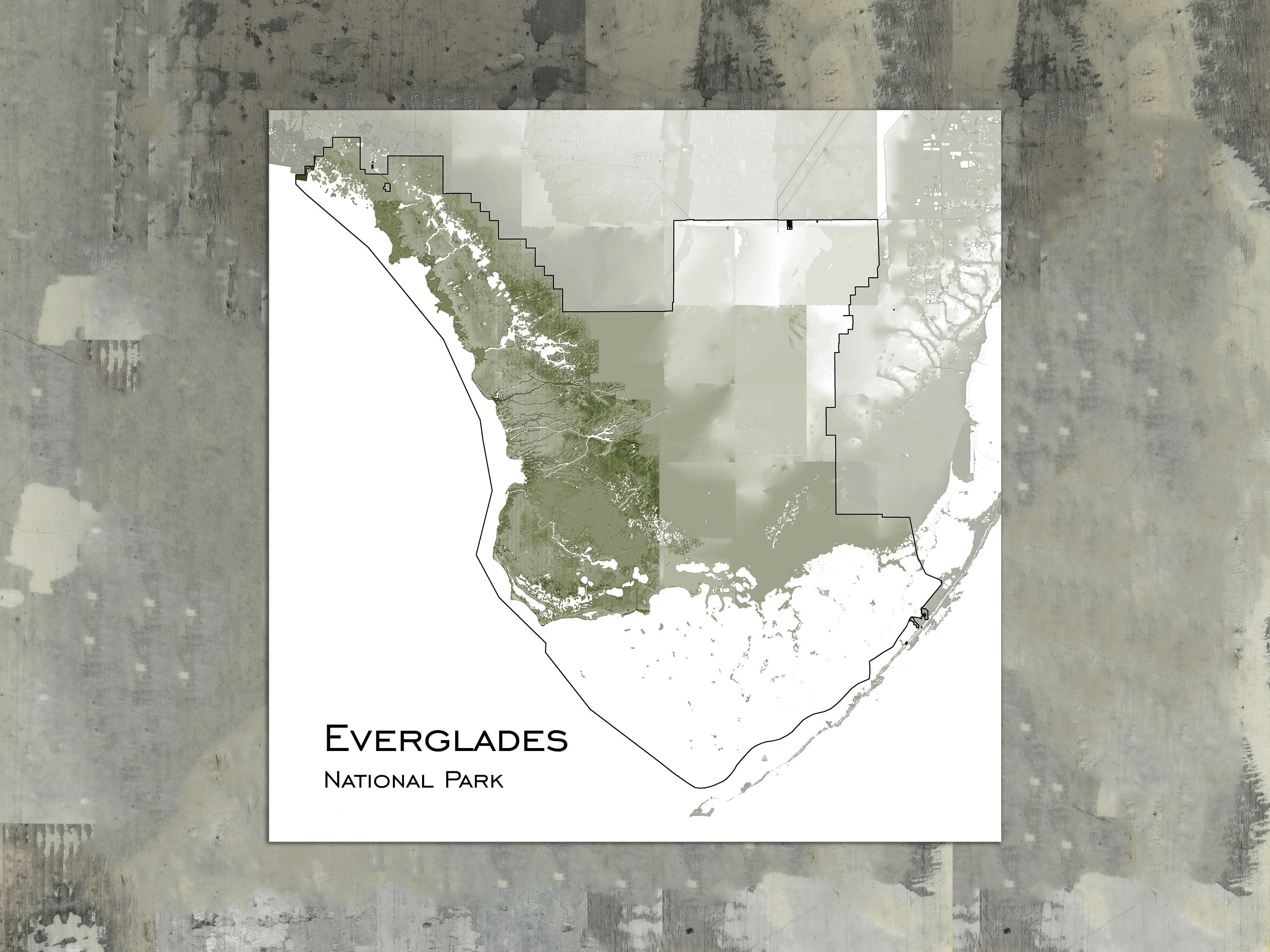 Everglades Topographic Map Art Poster Everglades National Park Topo Map ...