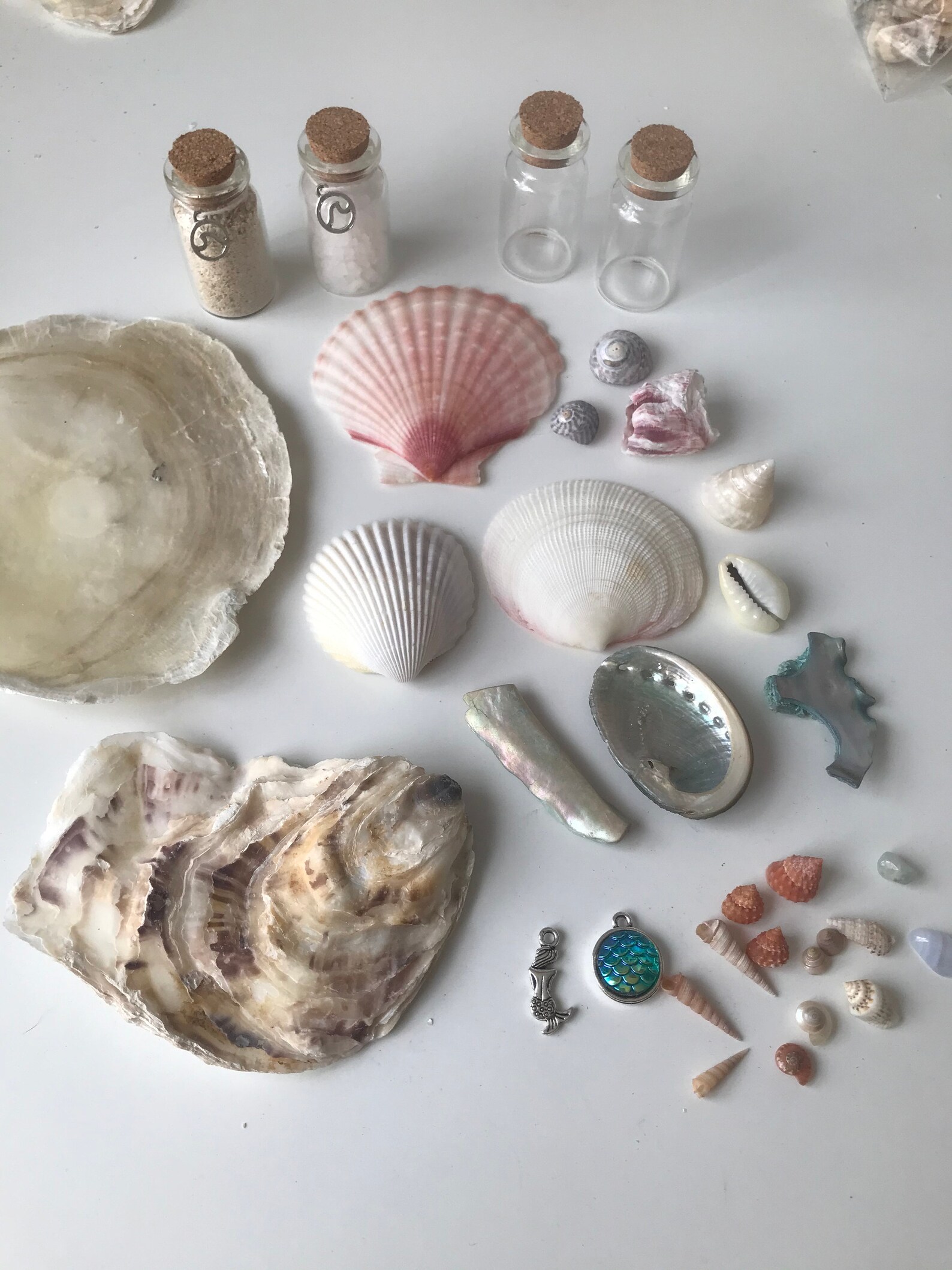 Sea Witch Starter Kit Seashell Kit | Etsy
