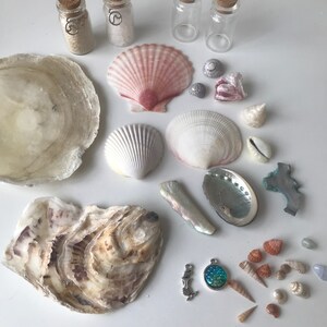 Sea Witch Starter Kit Seashell Kit - Etsy