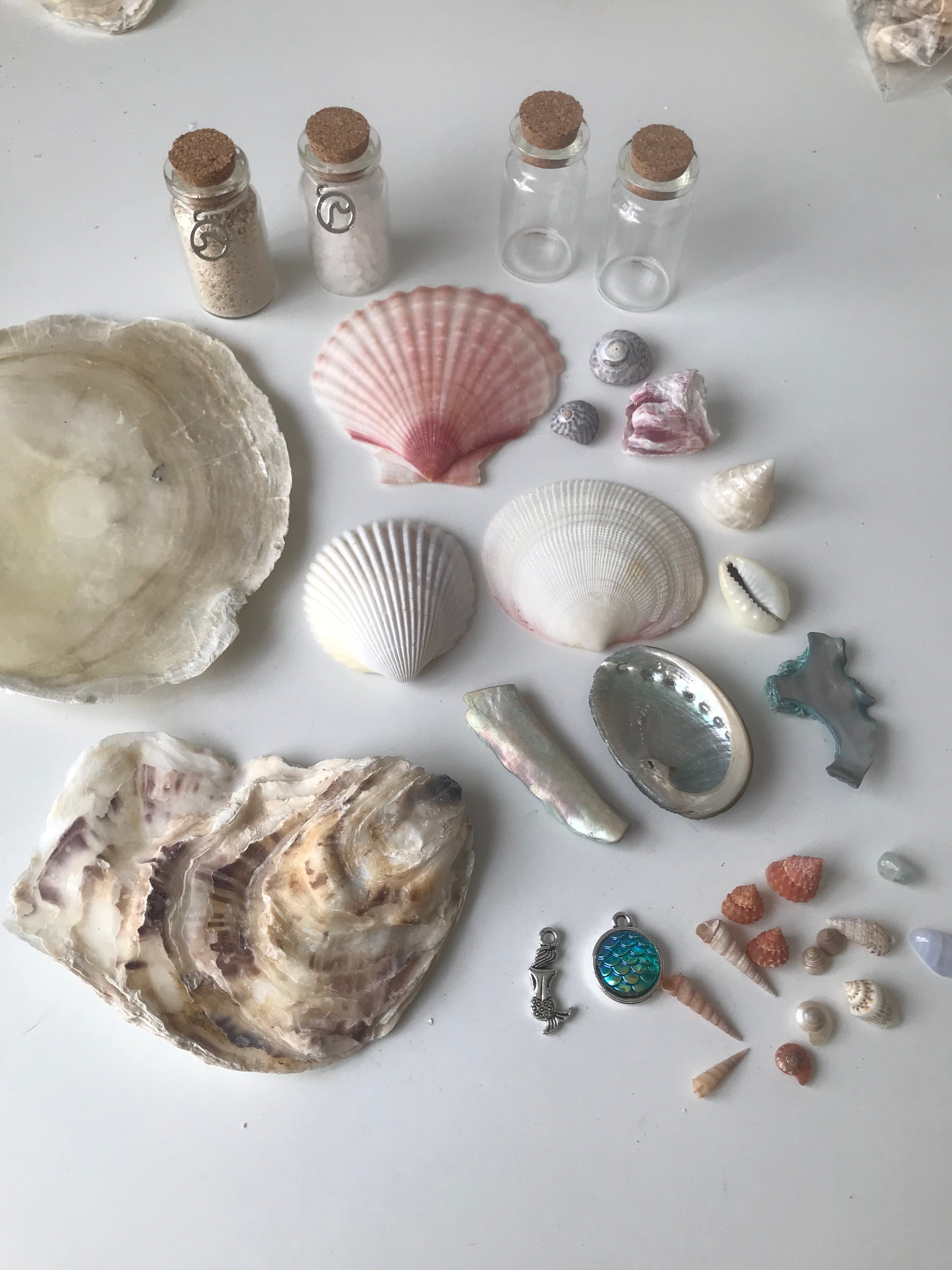 Sea Witch Starter Kit Seashell Kit | Etsy